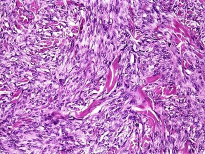 Internet Scientific Publications